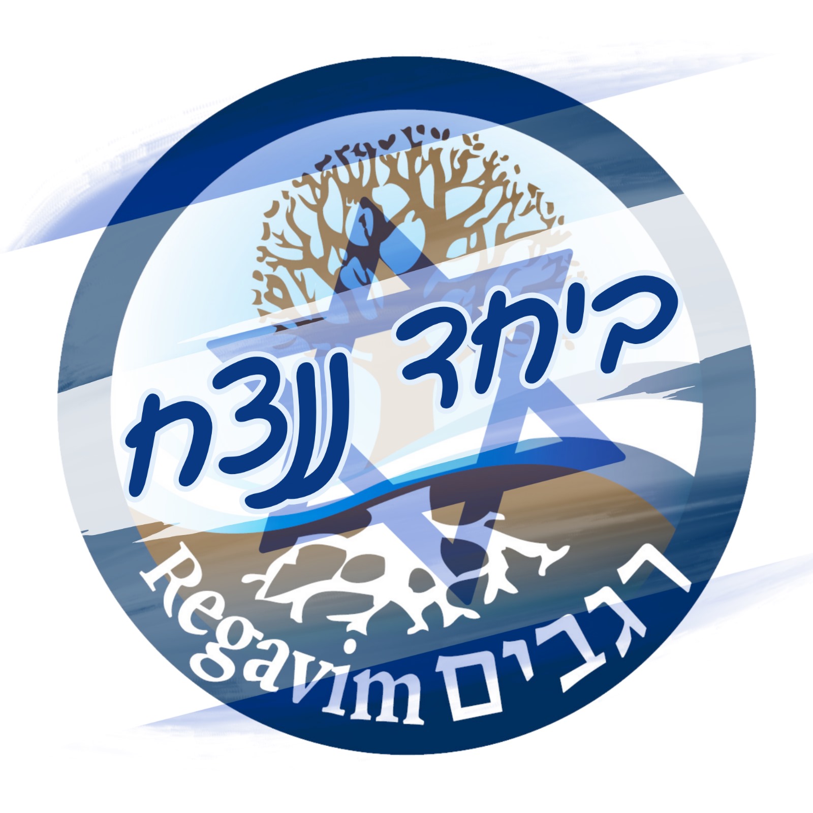 Regavim's monthly newsletter: Heshvan (November 2023) - Regavim